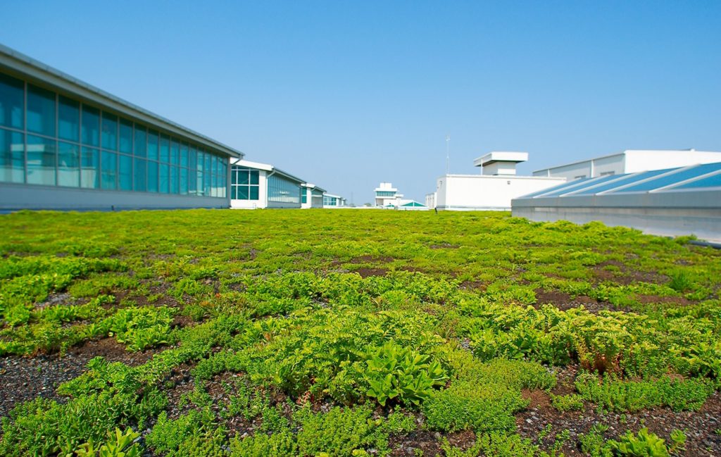 Ford Rouge Redevelopment Program in Dearborn, MI | Walbridge