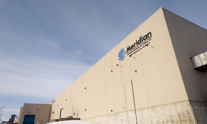 Meridian Magnesium, Disaster Recovery - Walbridge